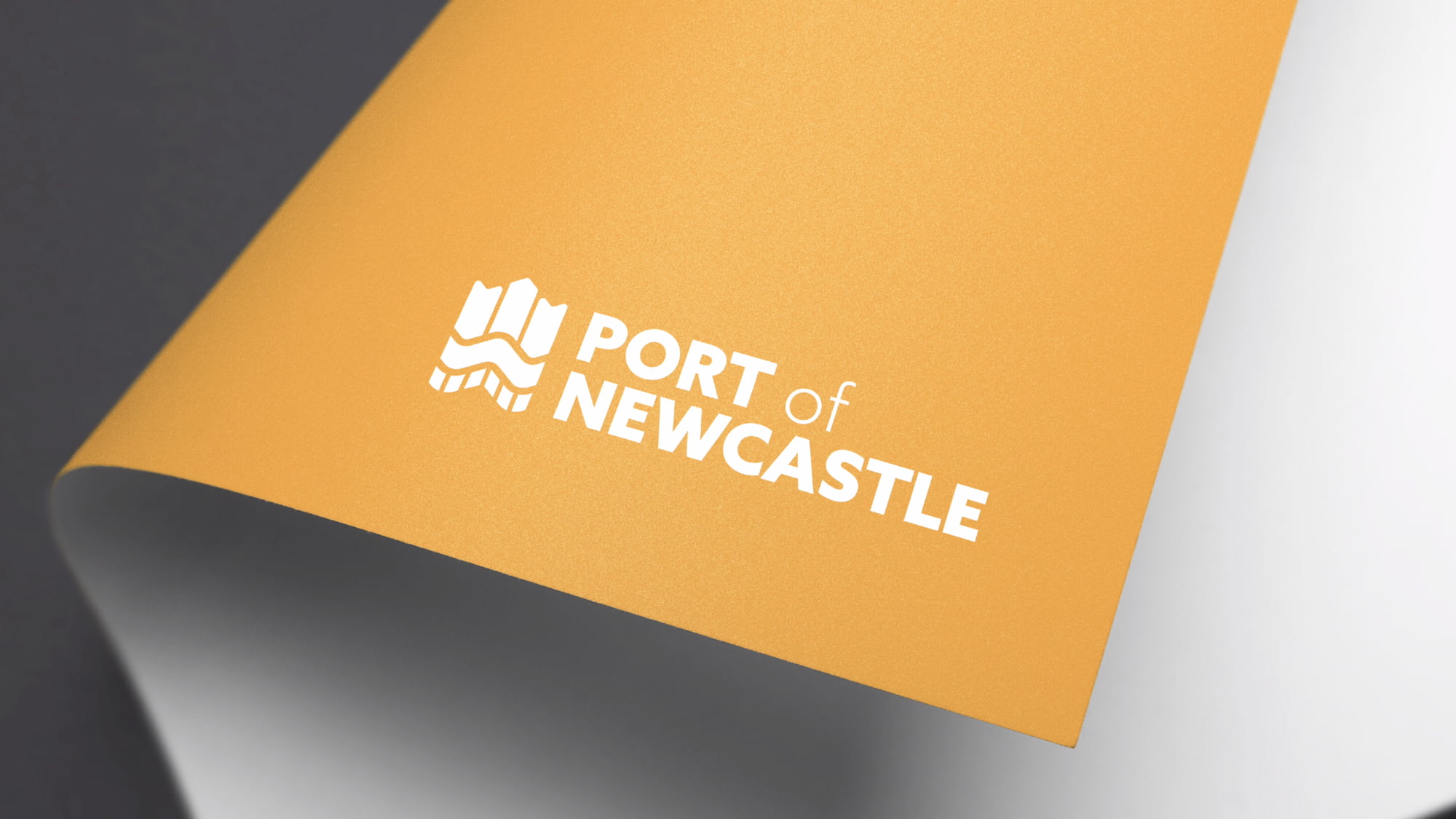 Port of Newcastle - Brand Launch - eluminate Creative | Newcastle Based ...